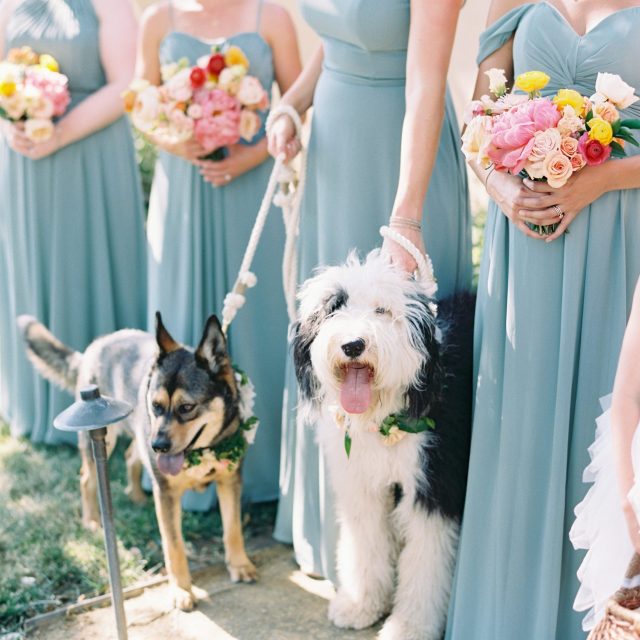 Tower Bridge Engagement Session | Bri and Brandon - Ashley Baumgartner